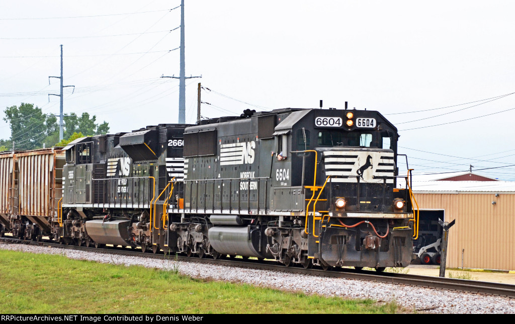 NS 6604.